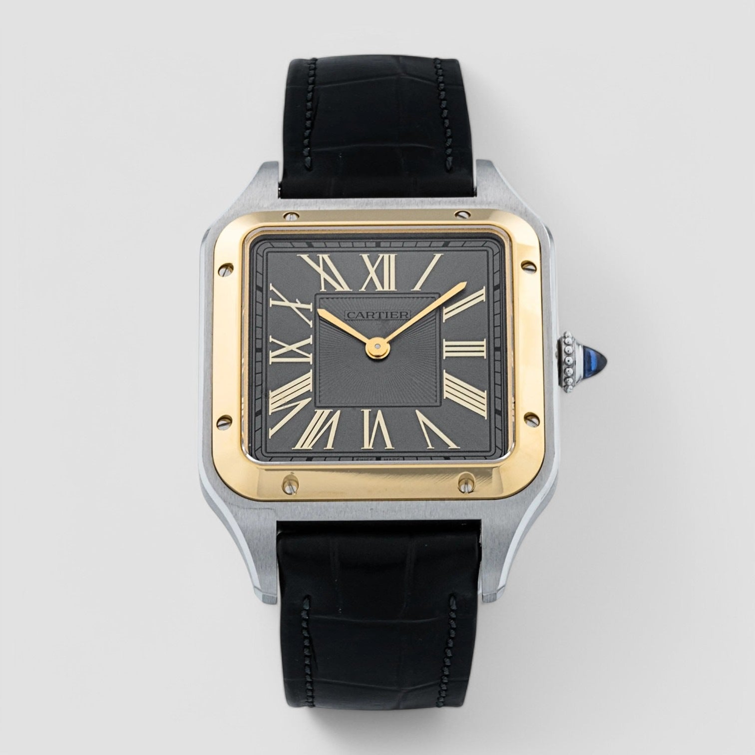 Cartier Santos-dumont Watch W2SA0028